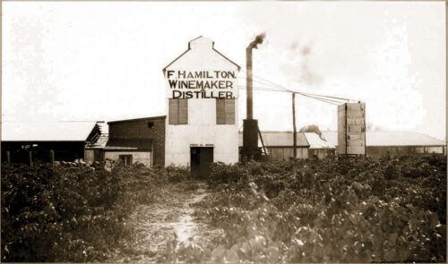 Our History - Hugh Hamilton Wines