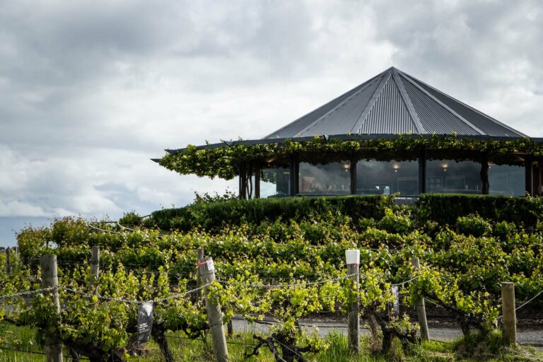 Visit our Winery Cellar Door - Hugh Hamilton Wines